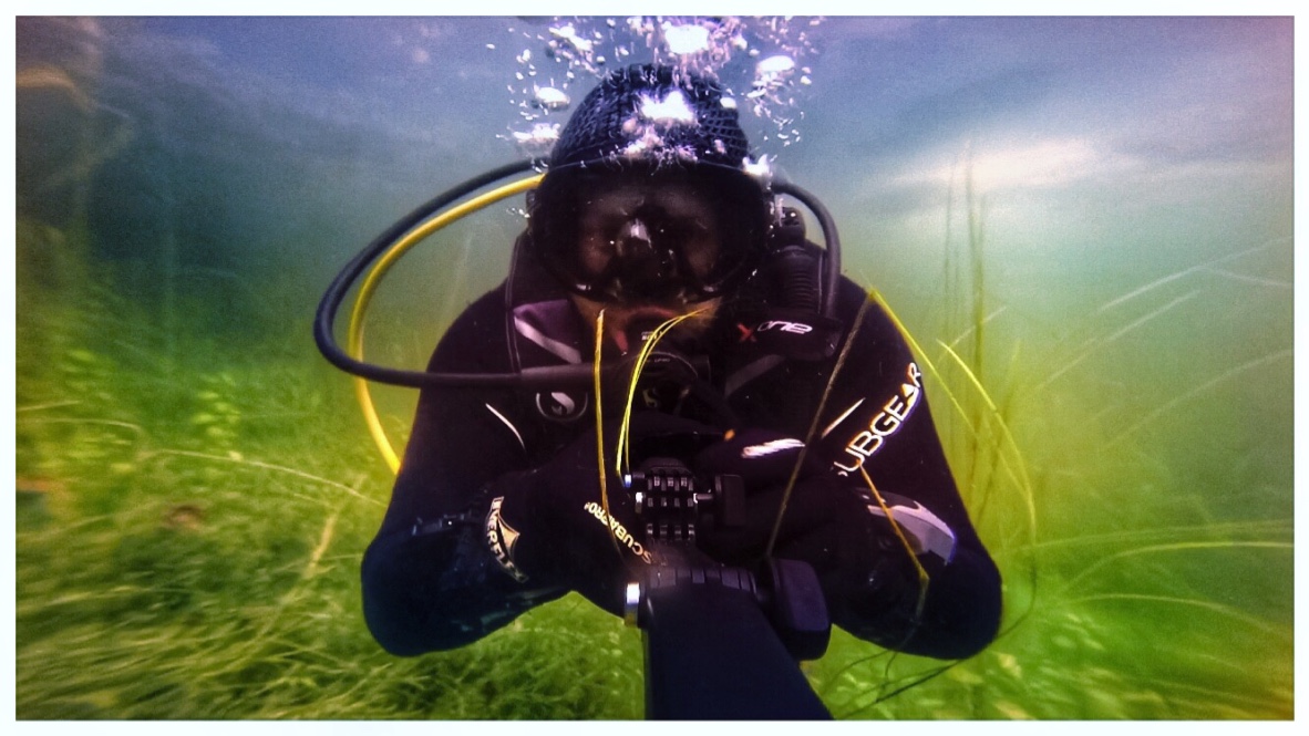 Tauchen - Tauchbasis Wünschsee - Unicorn Divers