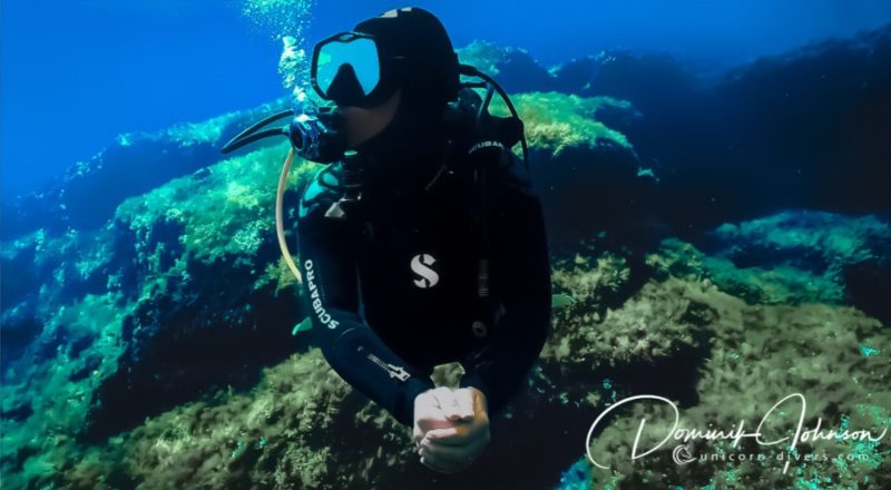 Fotografie Unterwasser Unicorn Divers