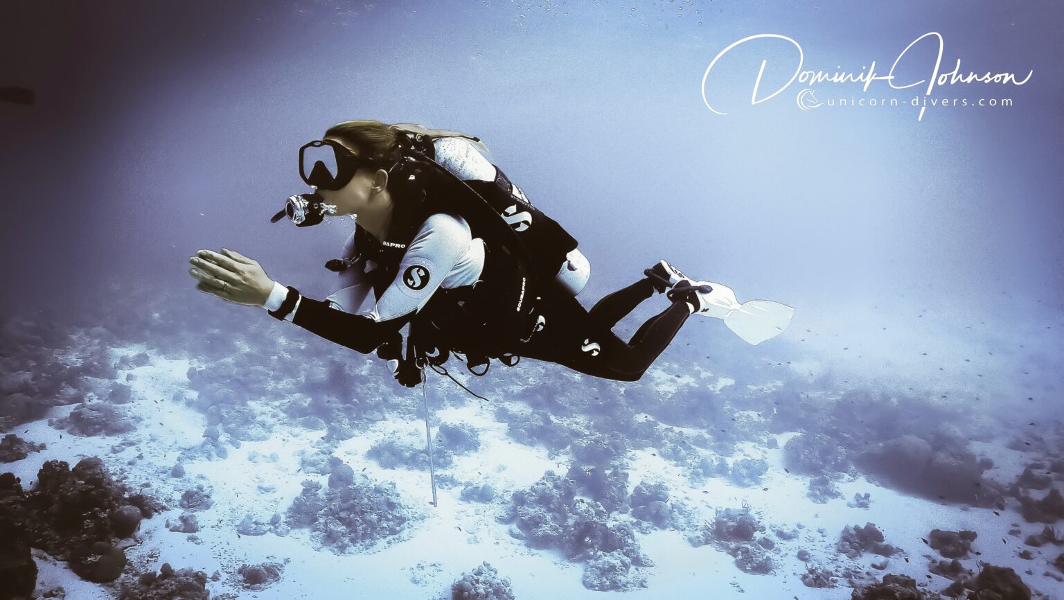 Diving In Maldives Best Of Unicorn Divers